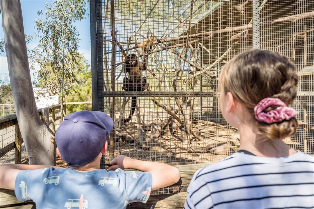Darlington Point suggested itinerary - Murrumbidgee Council
