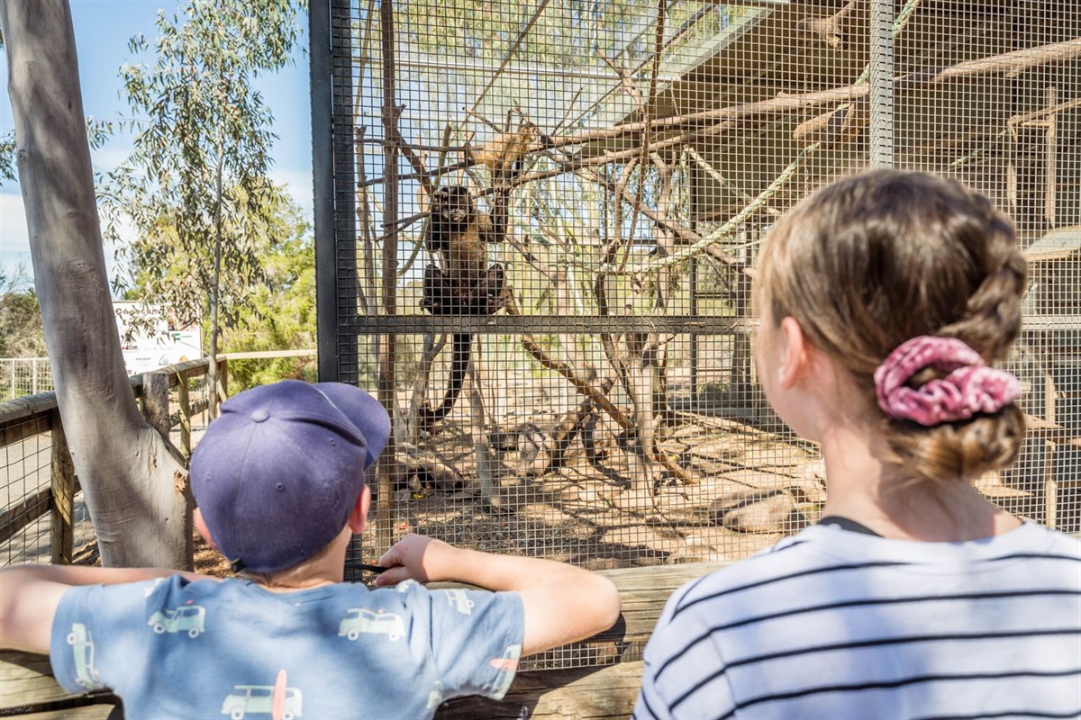 Darlington Point suggested itinerary - Murrumbidgee Council