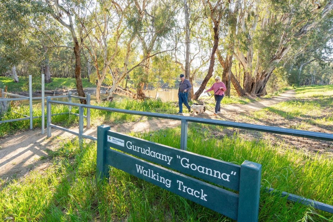 Goanna Walking Track - Murrumbidgee Council